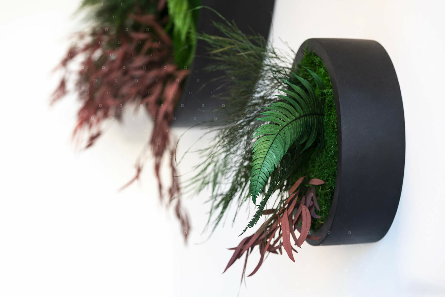 Cadre Vert - Indoor vegetal design | Design végétal